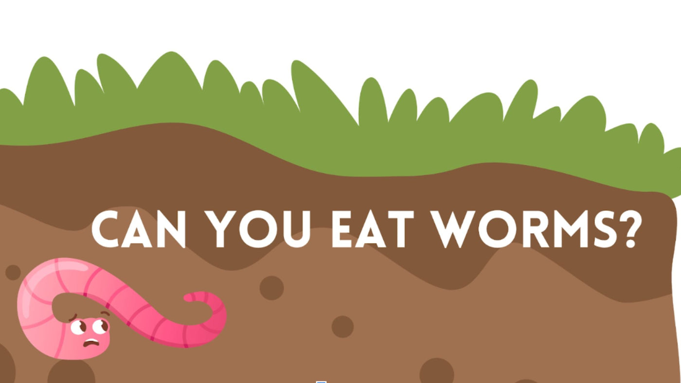 Can You Eat Worms? Edibility, Nutrition & Safety Explained