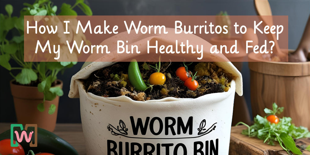 Worm Burrito Guide: Easy, Organized, and Nutrient-Rich Worm Feeding