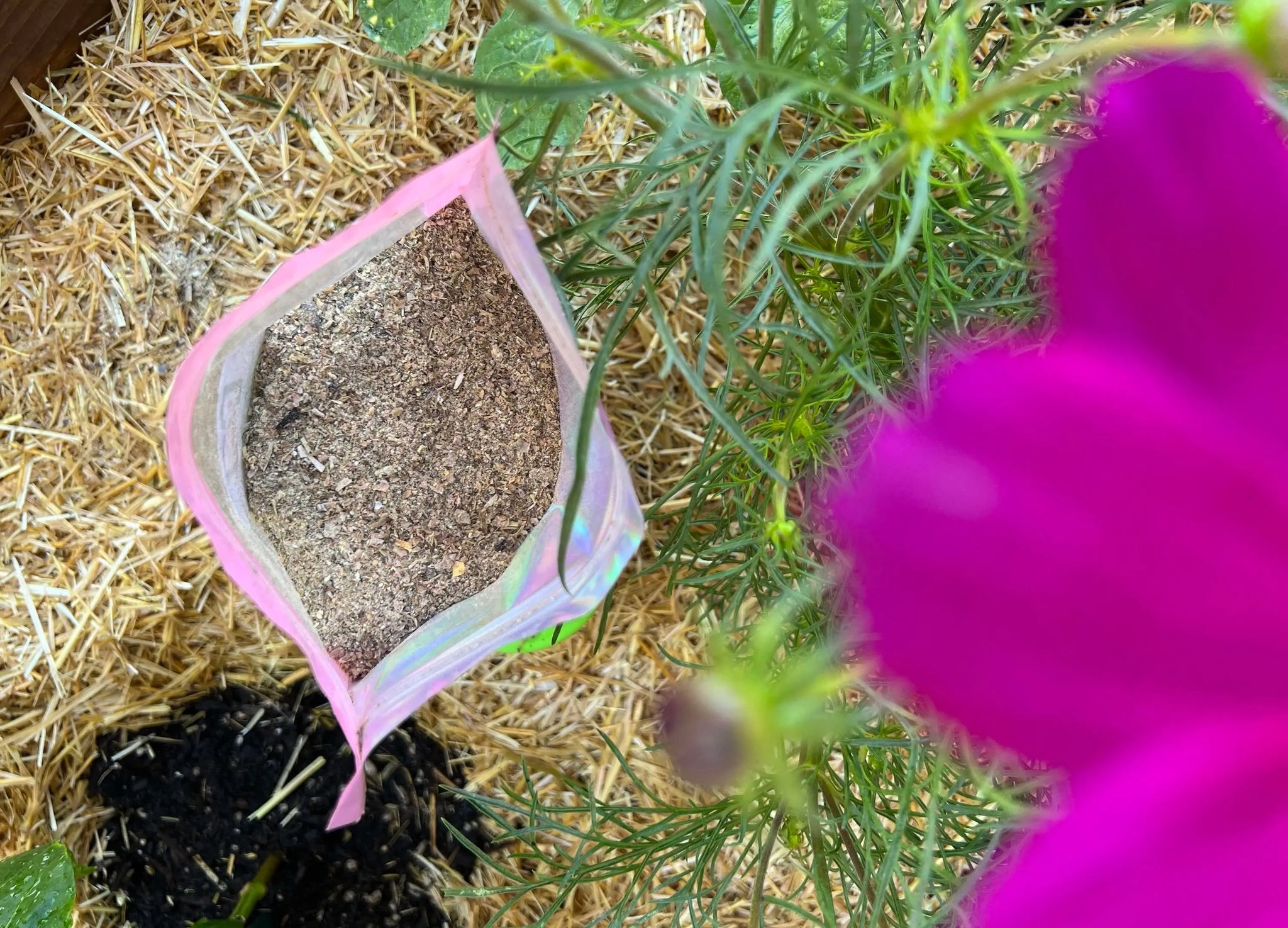 Composting Additives to Boost Garden’s Growth | Meme's Worms