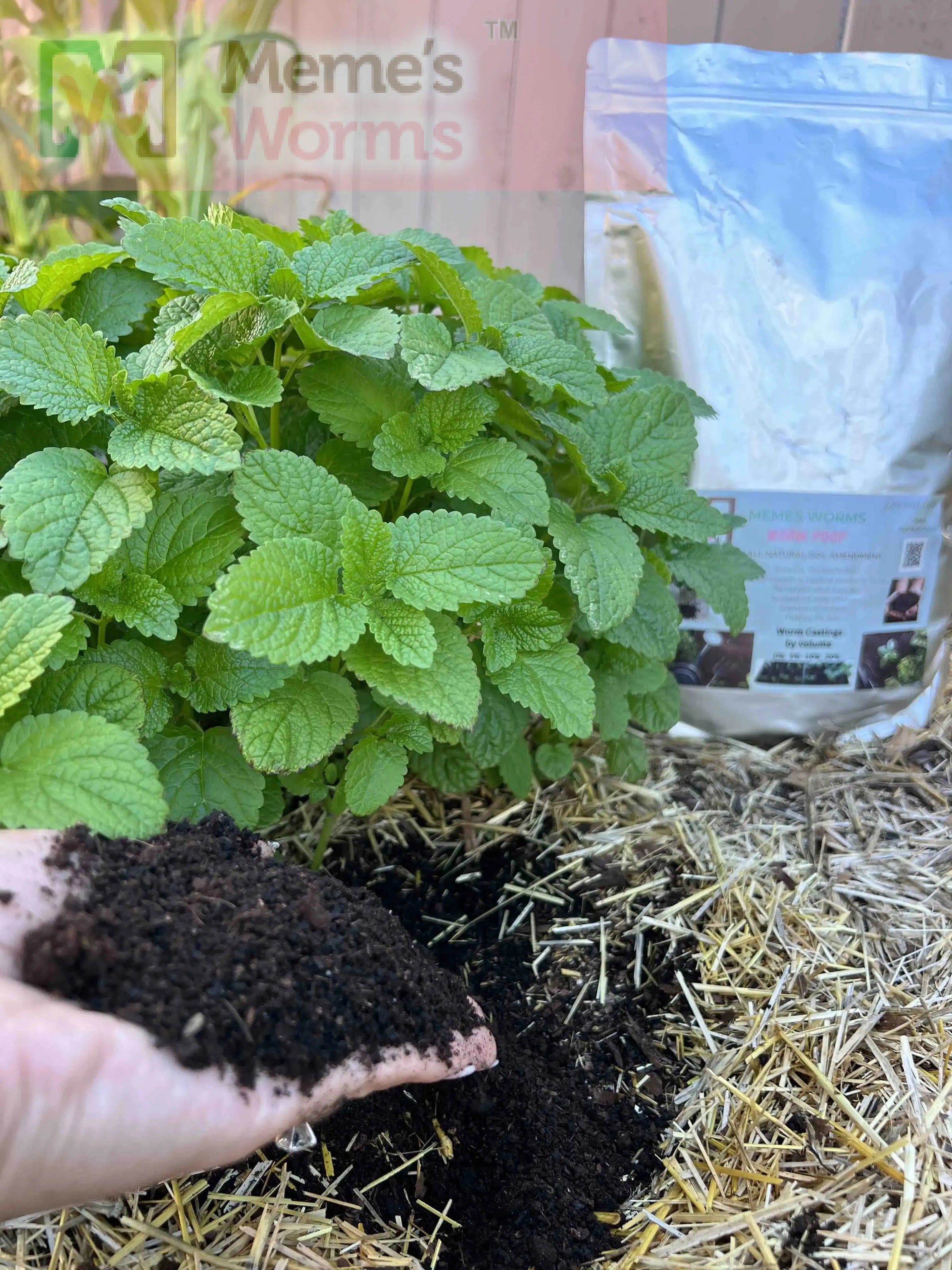 Bulk Worm Castings | Worm Castings for Sale