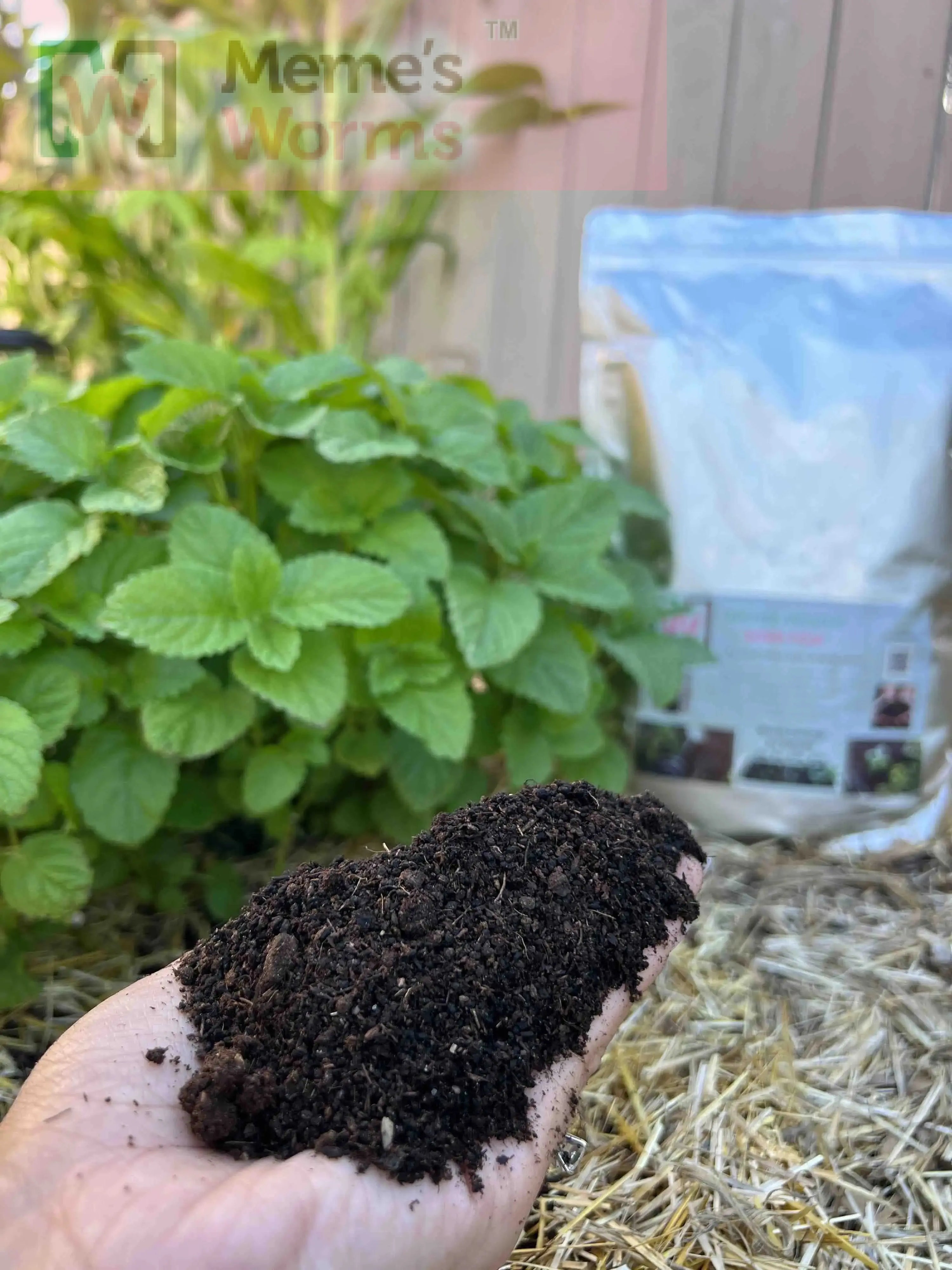 Bulk Worm Castings | Worm Castings for Sale