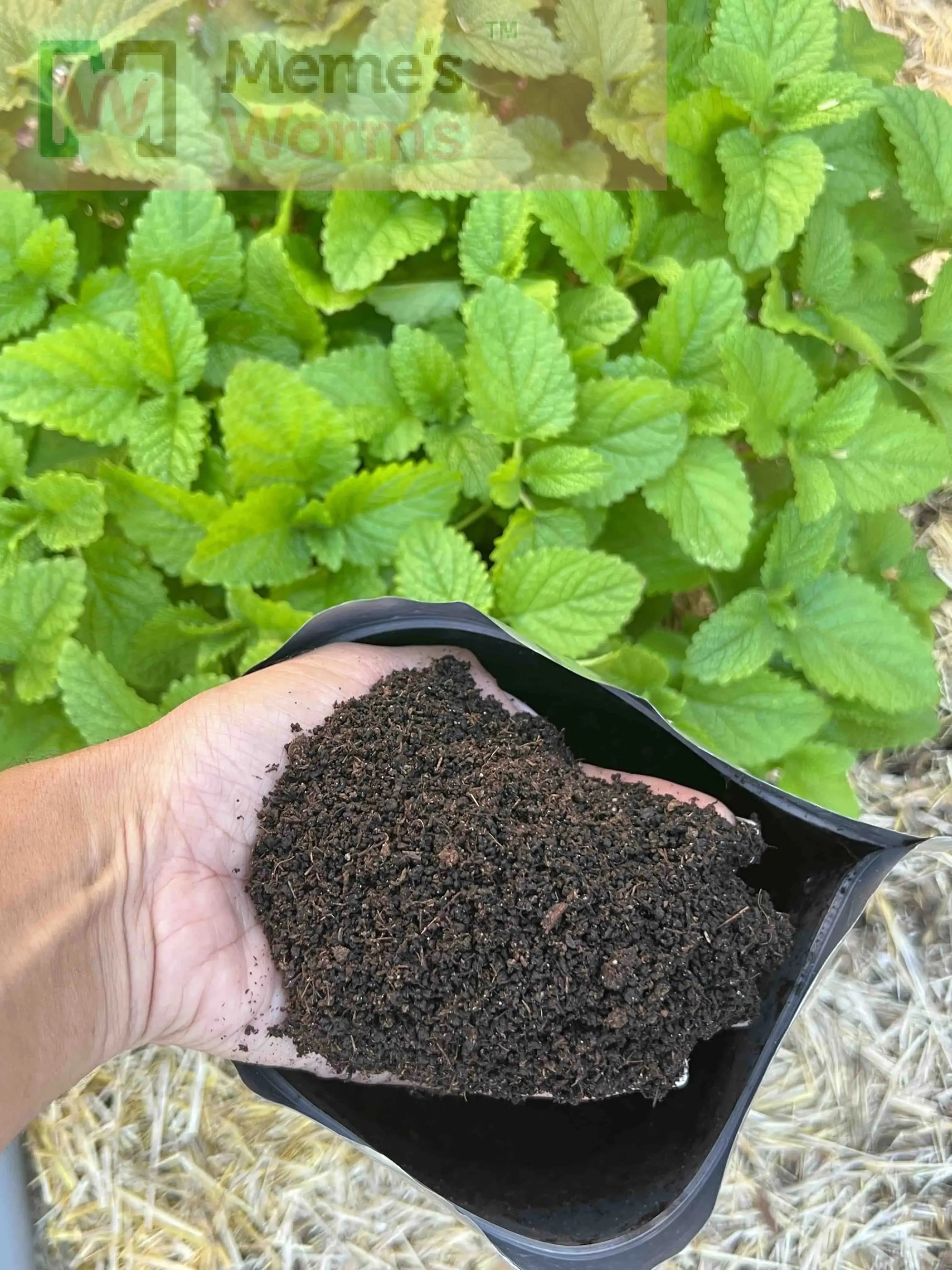 Bulk Worm Castings | Worm Castings for Sale