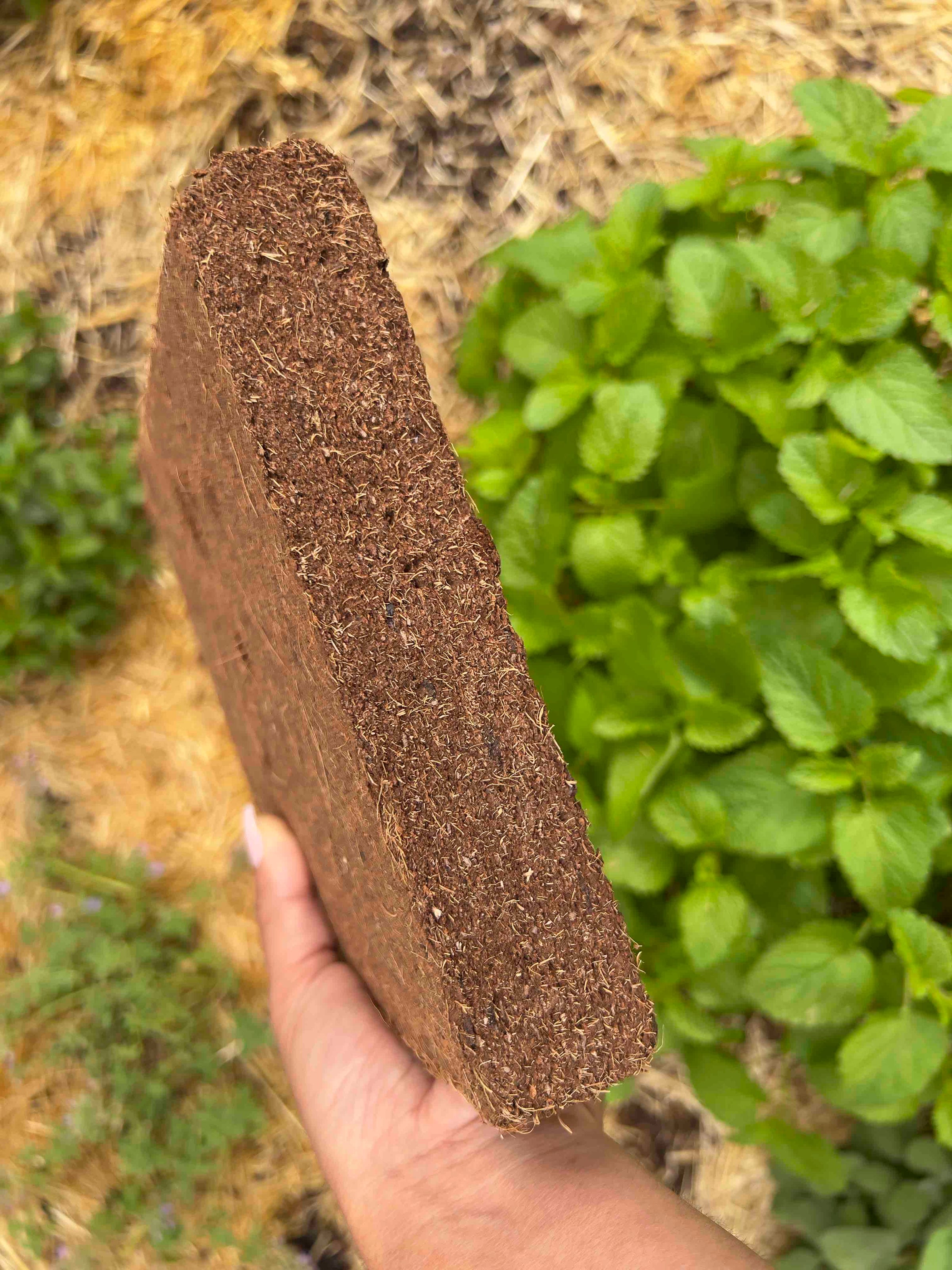 Coco Coir Worm Bedding | Coco Bedding for Composting