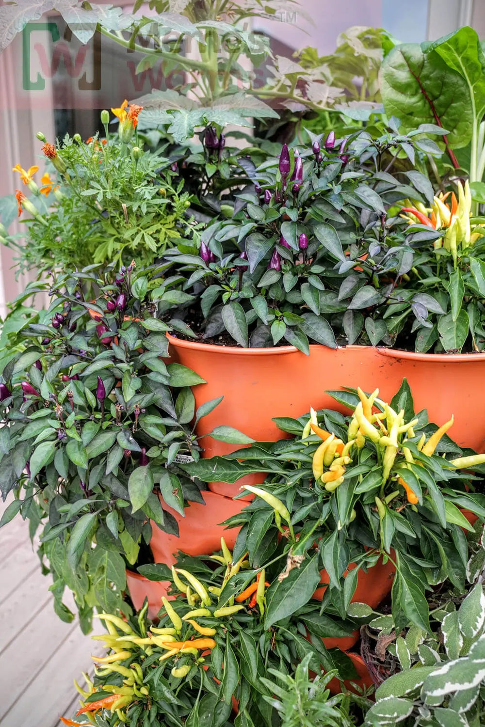 Garden Tower | 50 Plant Composting Vertical Garden Planter