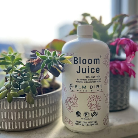 Buy Bloom Juice | Award-Winning Flower Formula