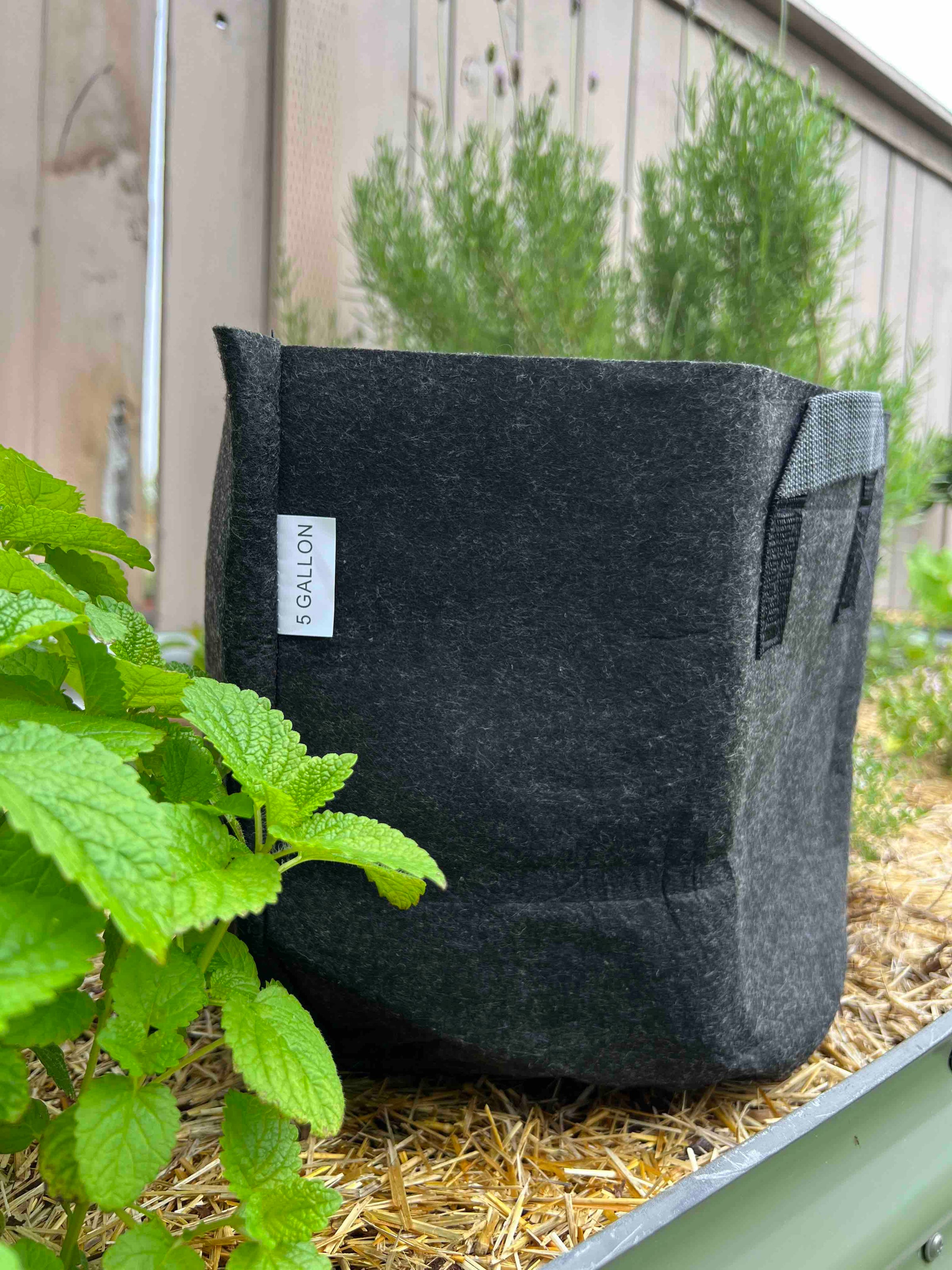 Beginner Composting Bundle – Start Your Worm Bin