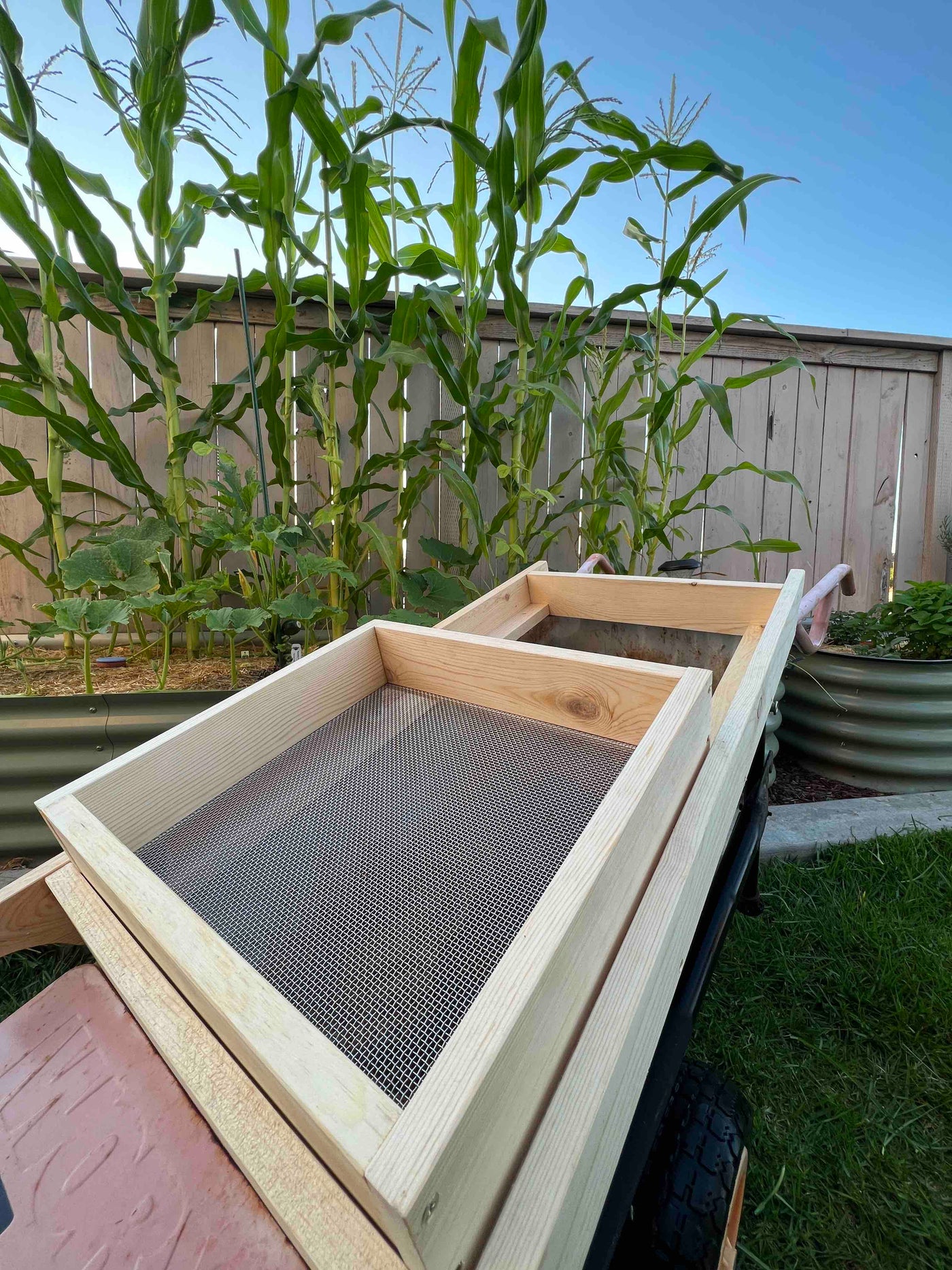 Premium Worm Sifter for Sale | Worm Sifter