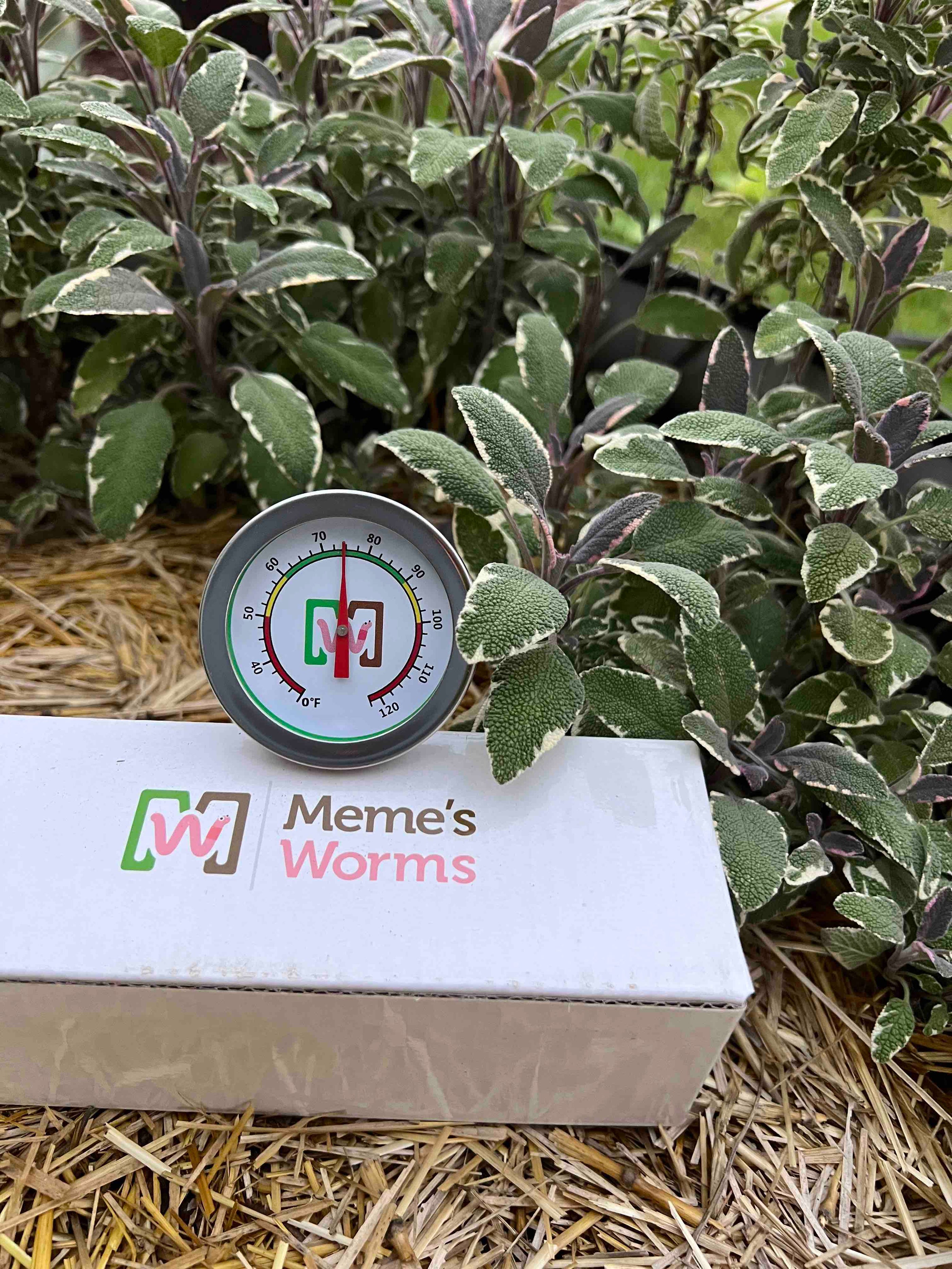 Worm Thermometer | Accurate Worm Farm Thermometer