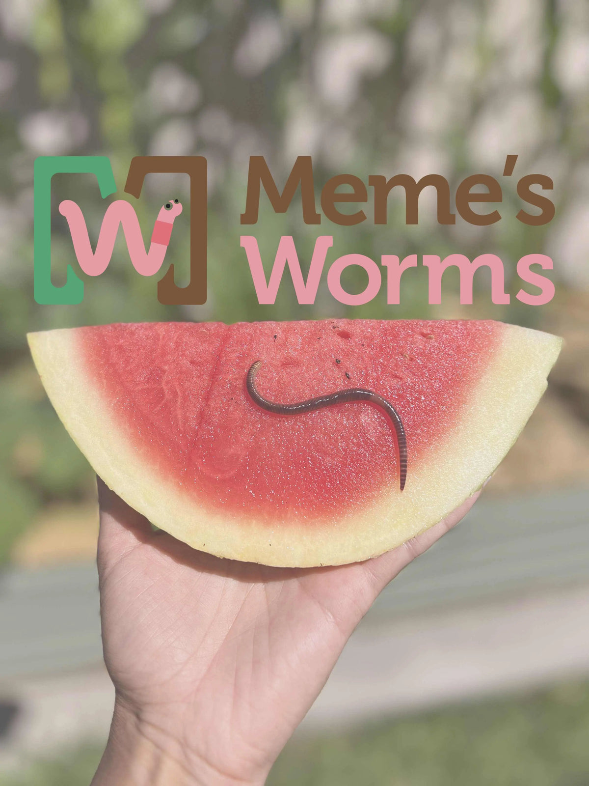Meme's Worms Gift Card | Worm Farming Business Cards