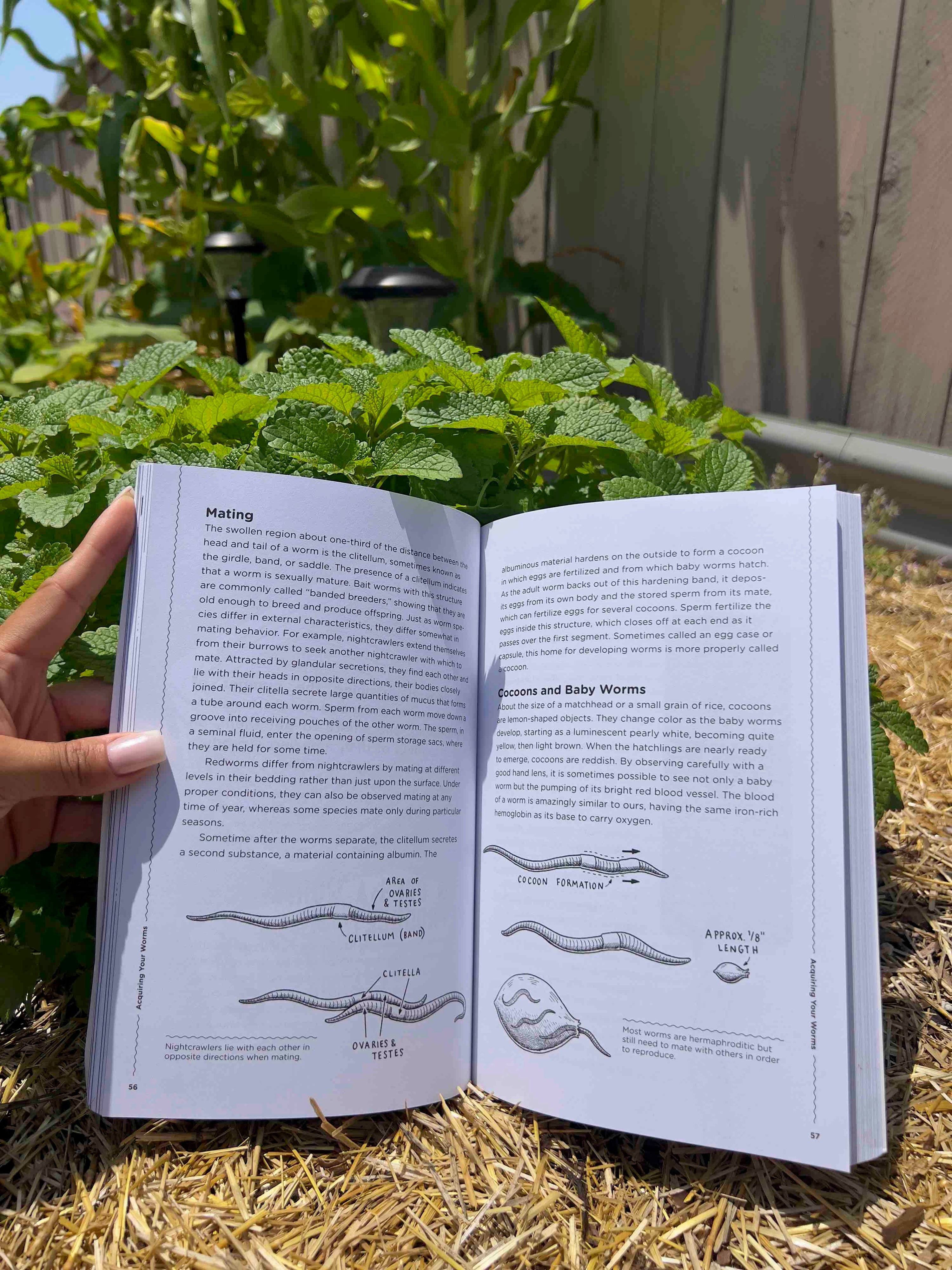 Shop Worms Eat My Garbage Book | 35th Anniversary Edition