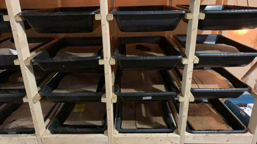 Shop Worm Bins for Sustainable Composting - Meme's Worms